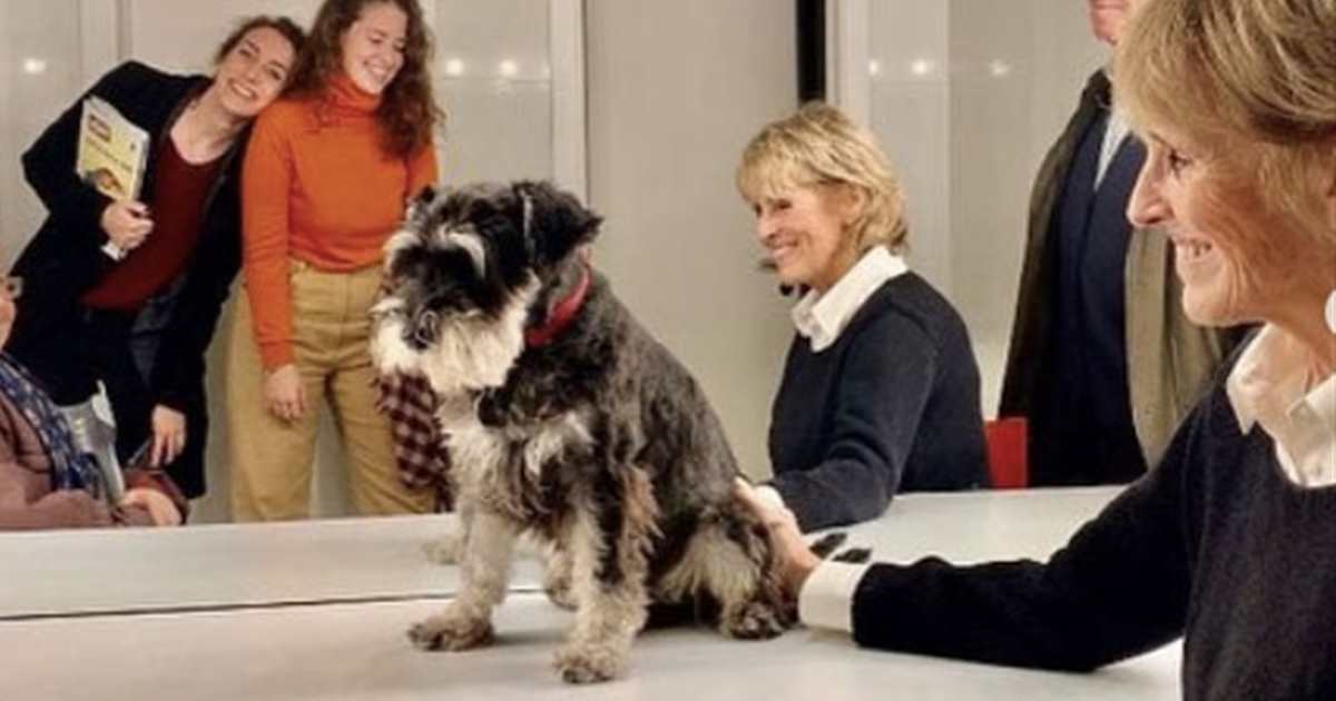 Scott, el perrito de la madre de Mercedes Milá, toda una 'star' sobre ...