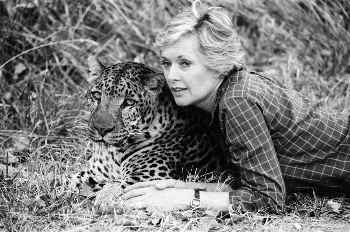 Compartió cama con un león: las excentricidades de Tippi Hedren, madre ...