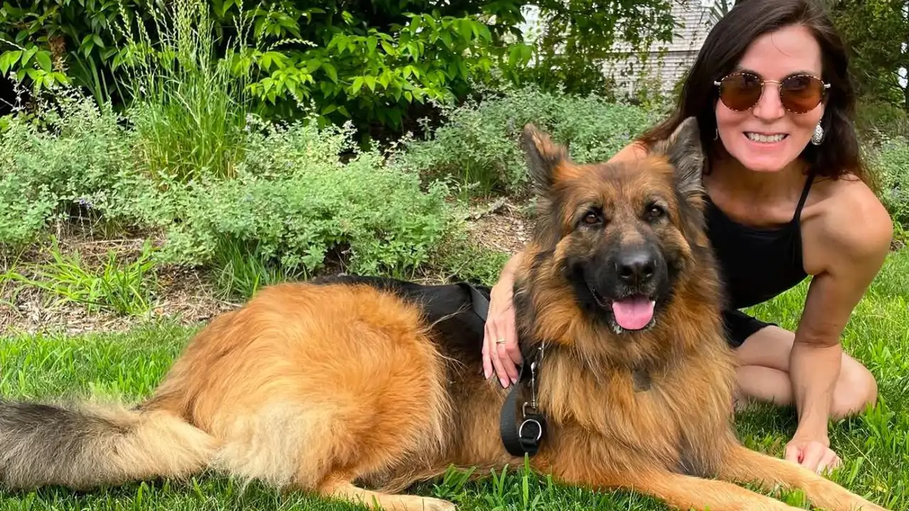 Elizabeth Frates, experta de Harvard, sobre los importantes beneficios ...