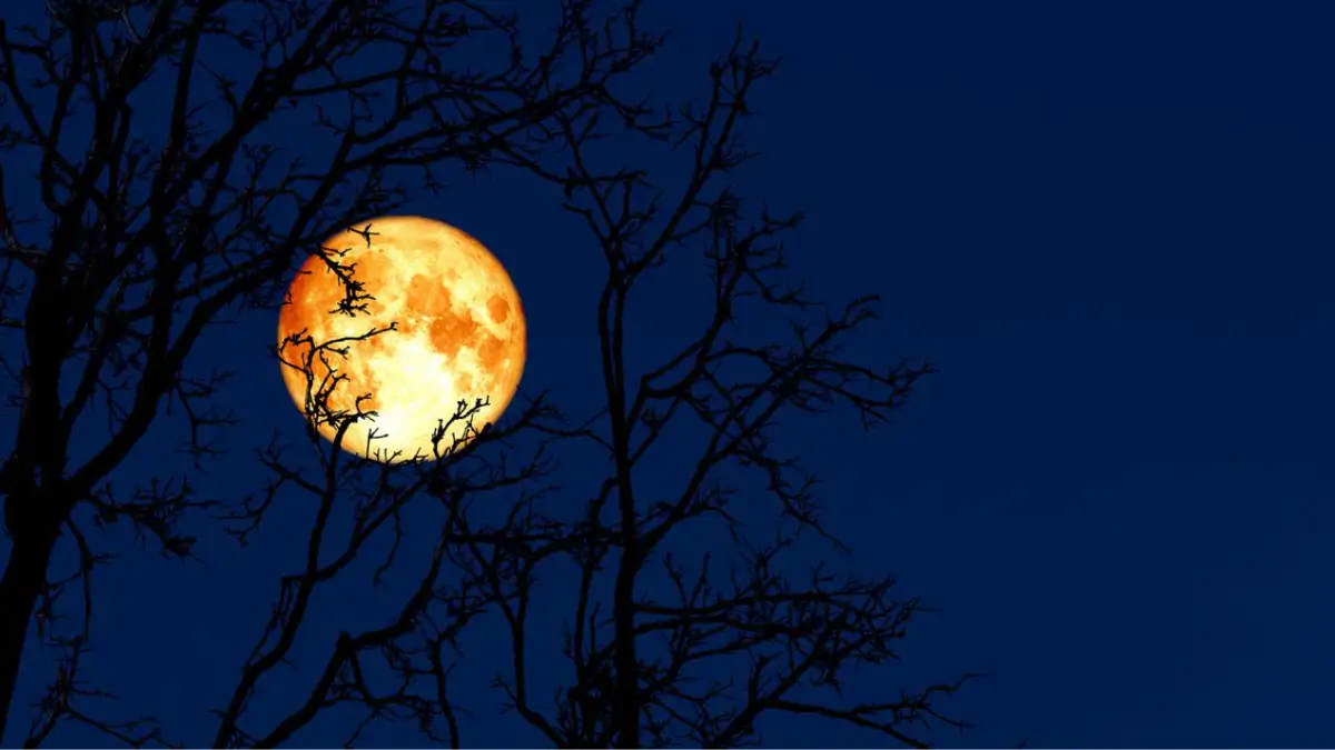 Ya está aquí la Luna de Gusano, la última luna llena del invierno y de ...