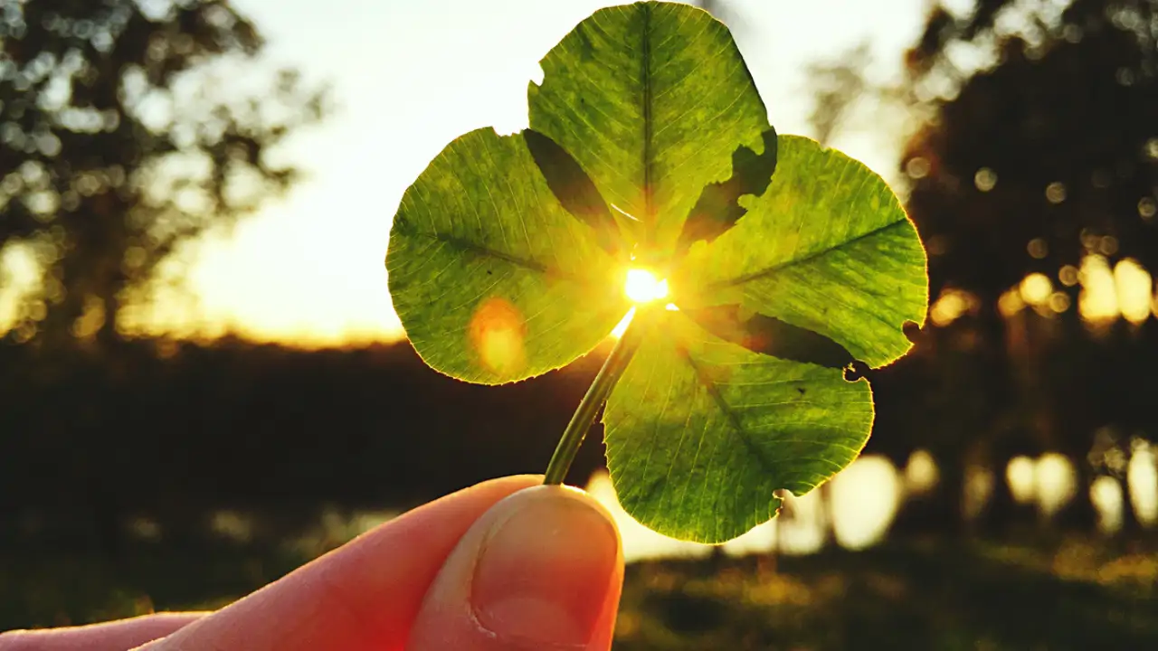75 frases cortas para desear buena suerte y éxito a una persona especial