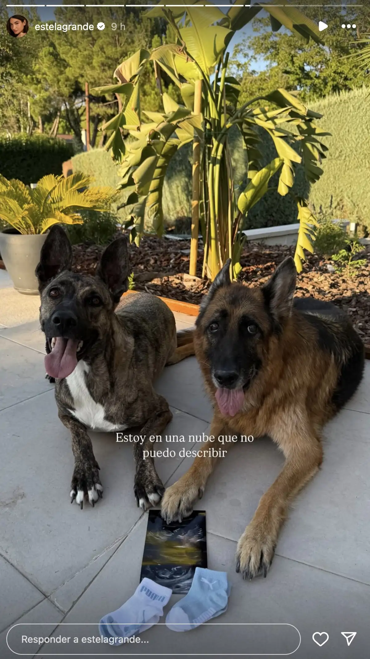 Estela Grande emociona al anunciar que está embarazada: la bonita forma ...