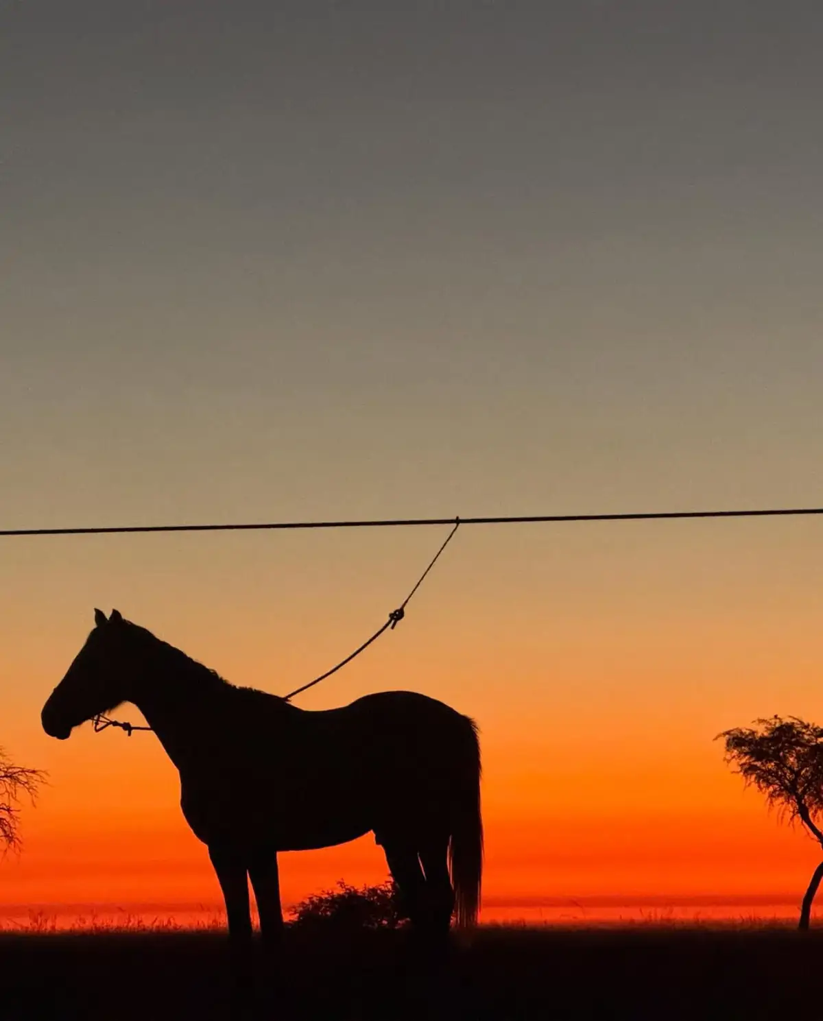 Elsa Pataky abre el álbum de sus lujosas vacaciones con su hija en ...