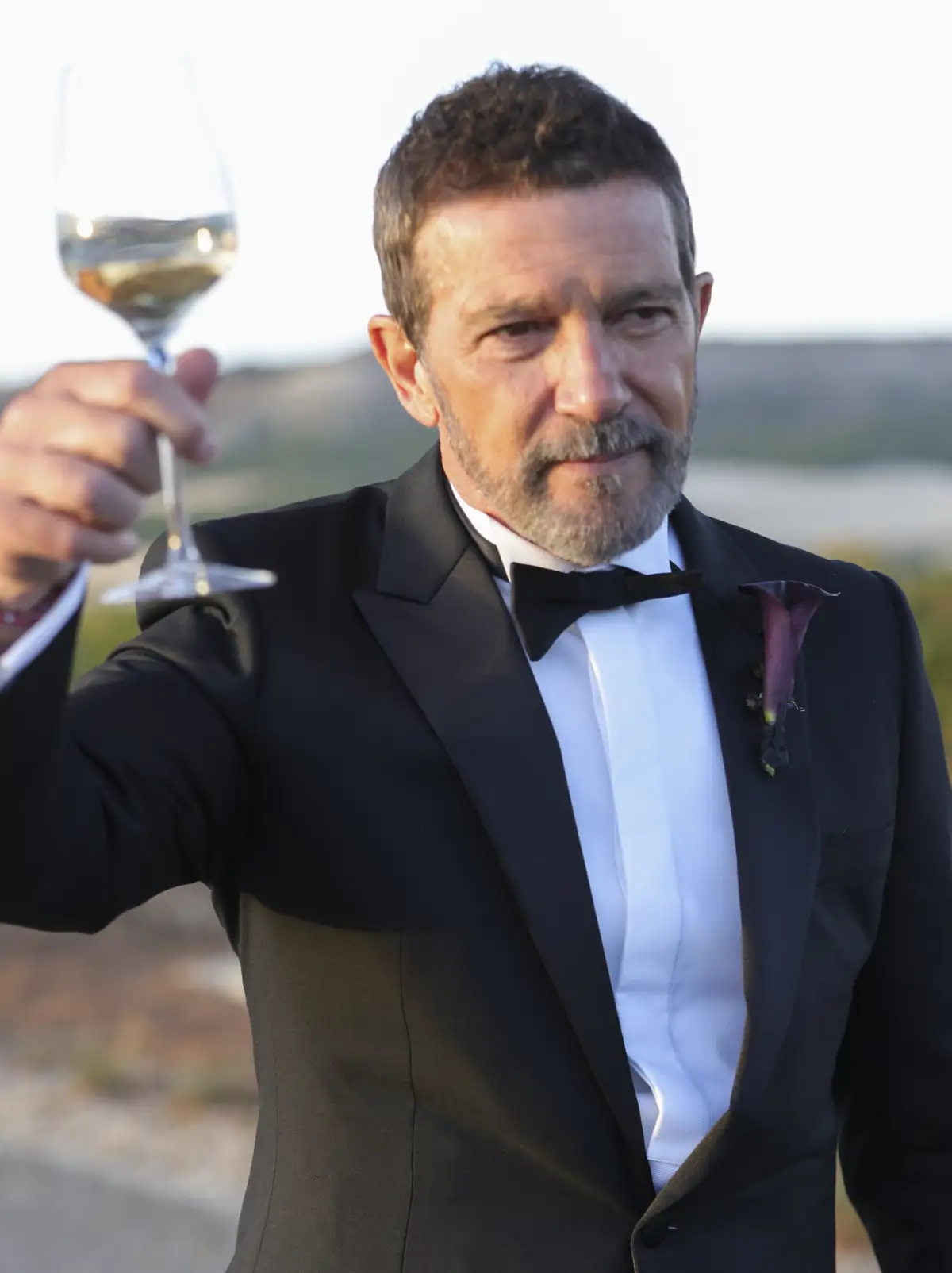 "Ella está molestando a todos": salen a la luz las tensiones entre Antonio Banderas y Melanie ...