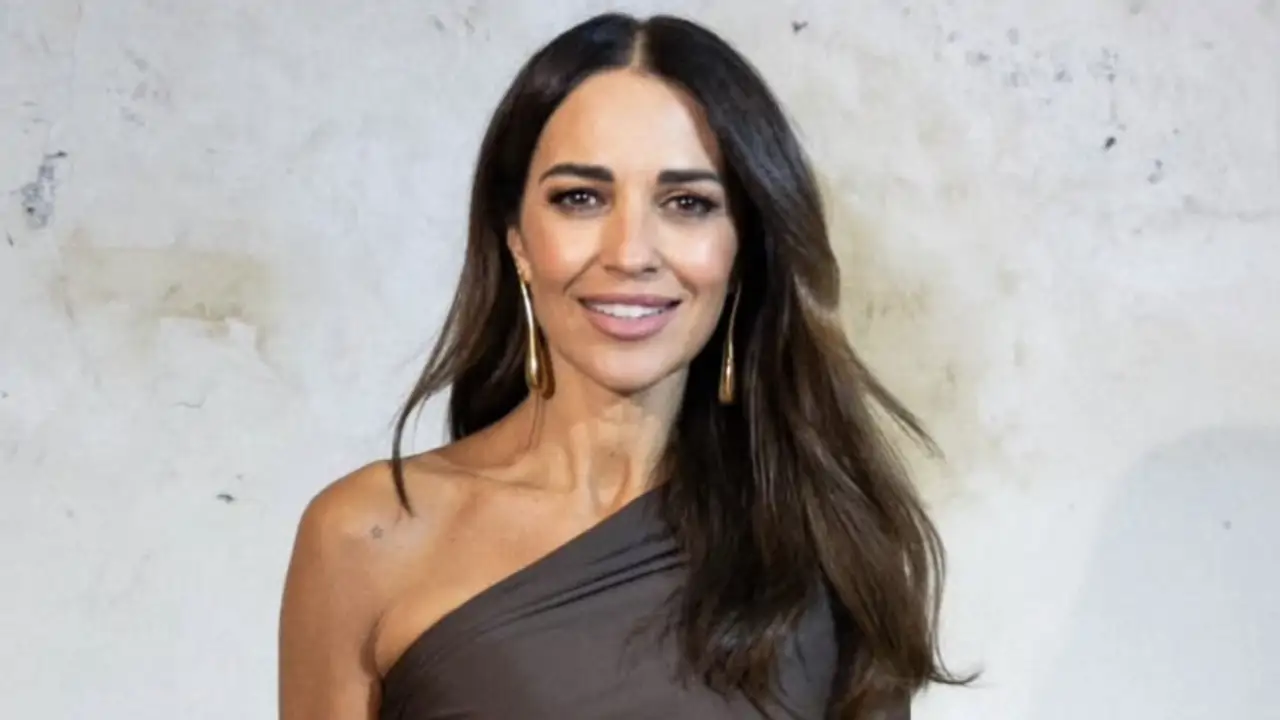 Paula Echevarría la última hora de su relación, de su vida profesional ...