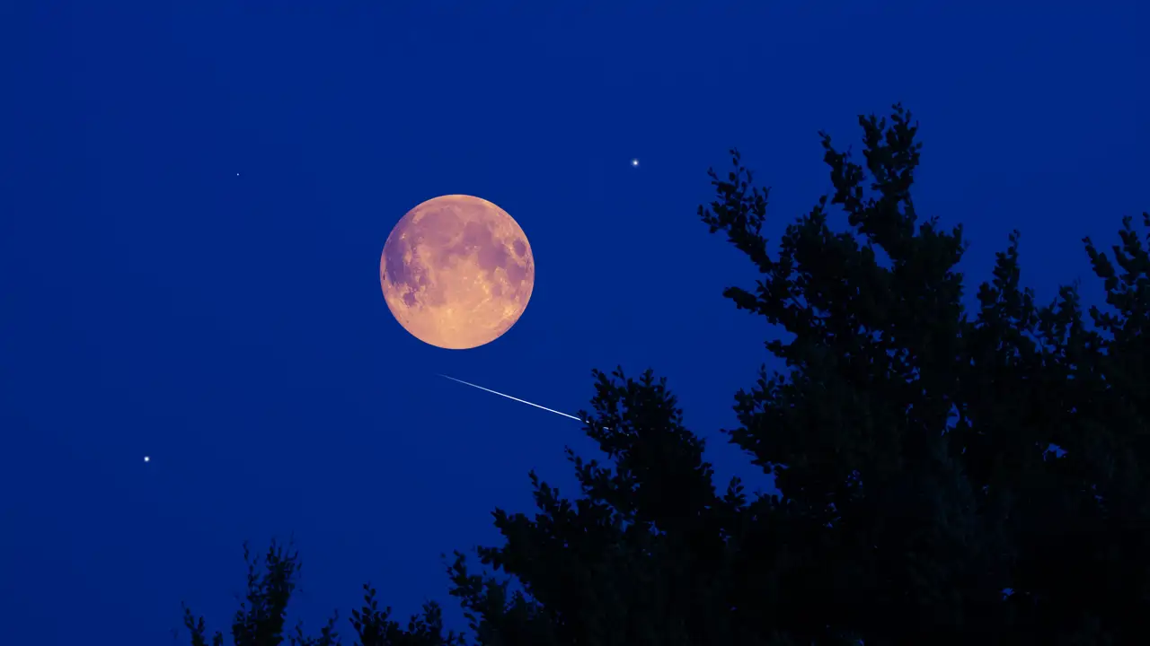 Llega la Luna del Castor: cuándo ver la luna llena de noviembre y cómo ...