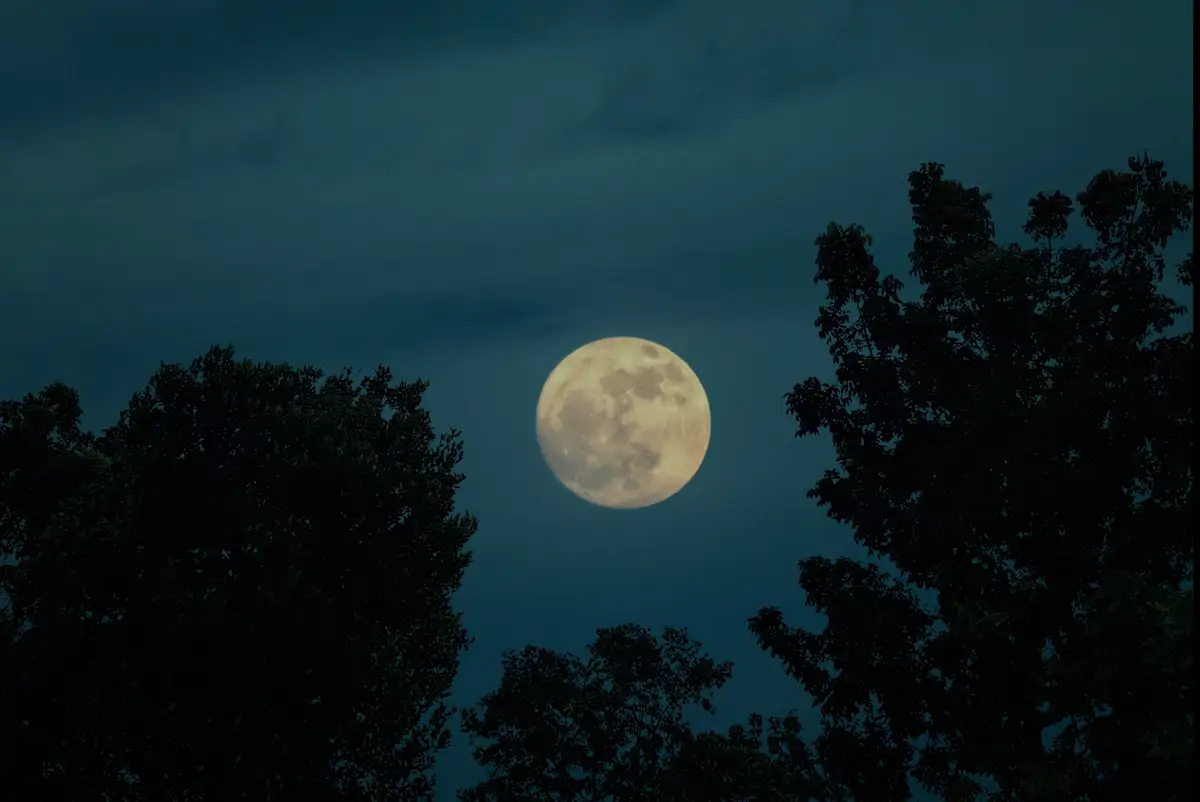 Luna de Nieve: cuando será, en qué consiste y cómo afectará a los ...