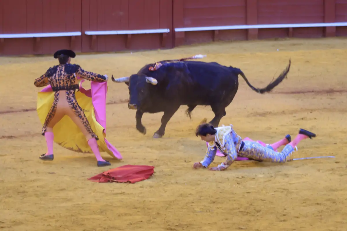 Última hora del estado de salud de Roca Rey tras la brutal cogida en La ...