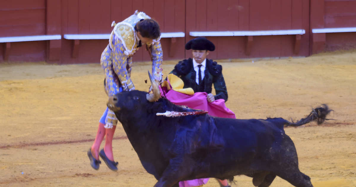 De la cornada de Roca Rey a la reconciliación entre Isabel Pantoja y ...